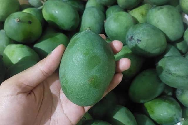 9 Jenis Mangga di Indonesia dan Ciri-cirinya | Popmama.com