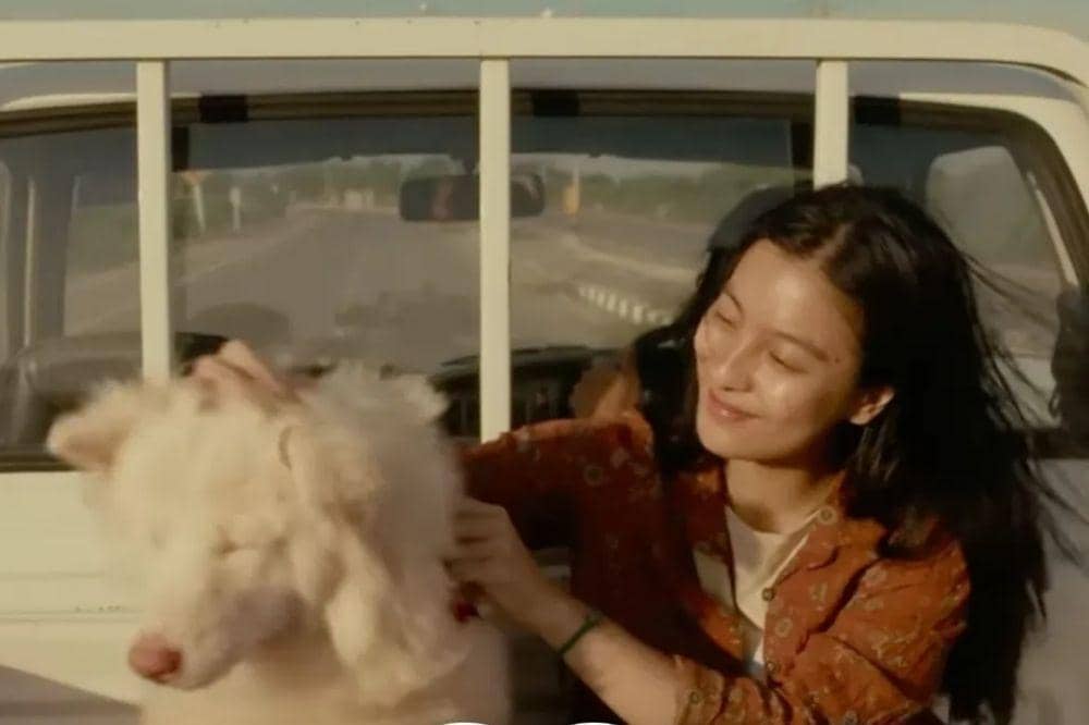 5 Fakta Gohan, Anjing yang Jadi Peneman Sepi | Popmama.com