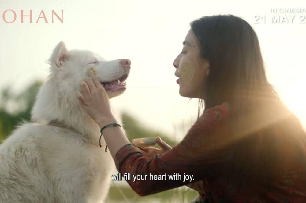 5 Fakta Gohan, Anjing yang Jadi Peneman Sepi | Popmama.com