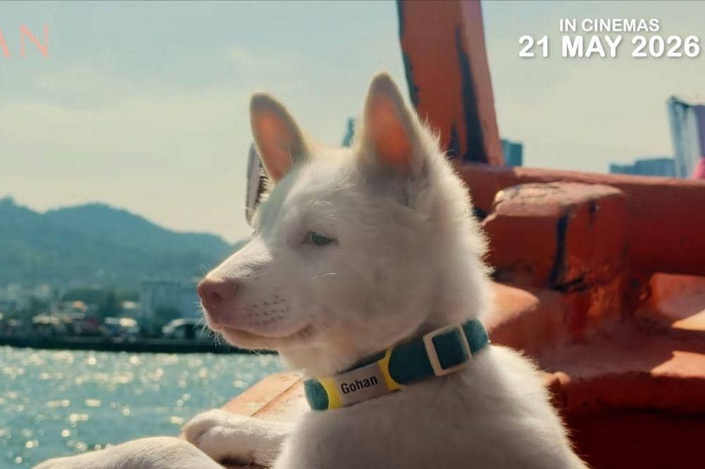 5 Fakta Gohan, Anjing yang Jadi Peneman Sepi | Popmama.com