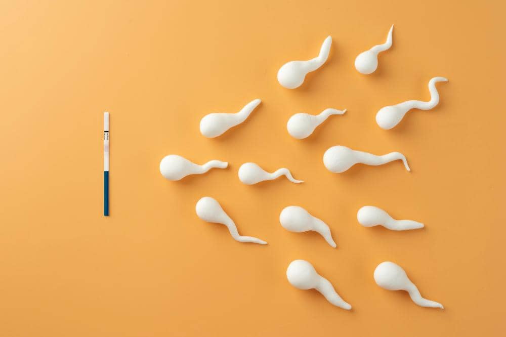 Penuaan Sperma dan Dampaknya pada Kualitas Sperma | Popmama.com